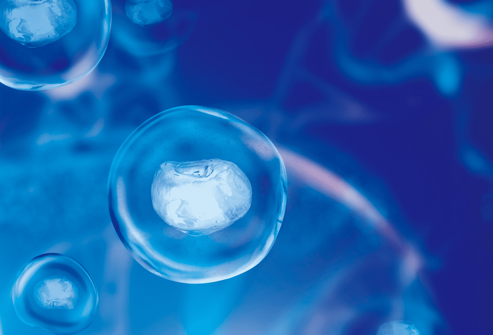 Single Cell Technologies Application Areas | Singleron