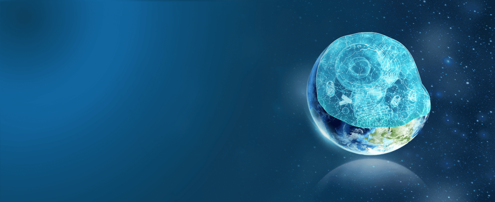 Single Cell Sequencing Solutions - Singleron