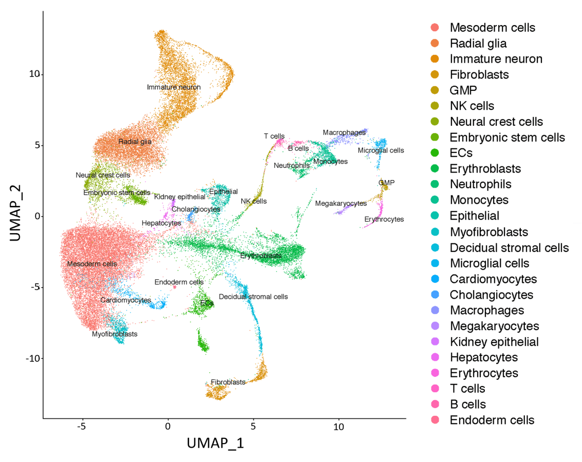 Single Cell Analysis Made Simple