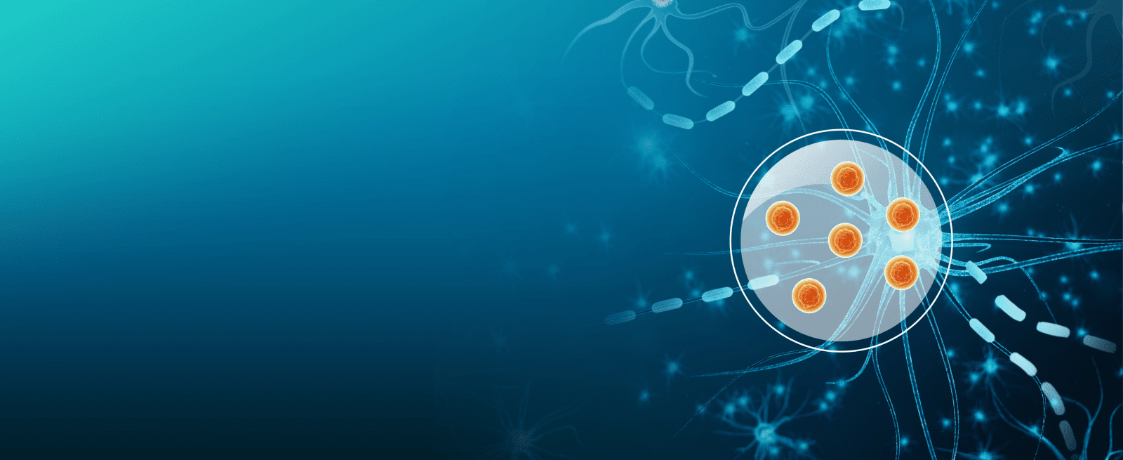 Single Cell Sequencing Solutions - Singleron