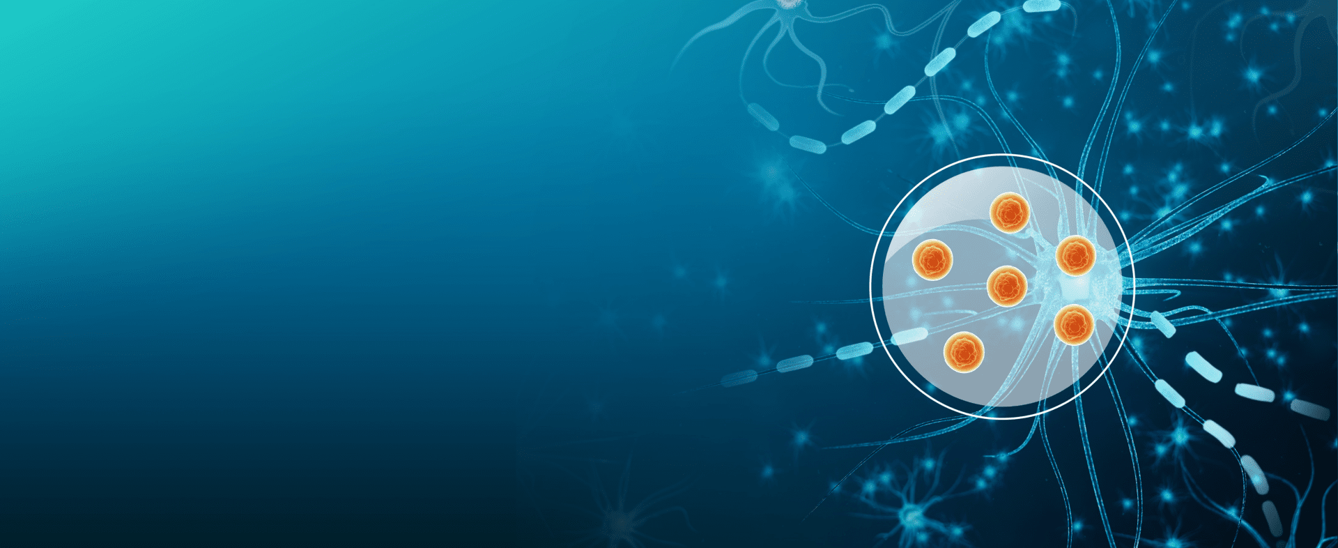 Single Cell Sequencing Solutions - Singleron