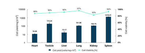 How to Dissociate Tissue | Singleron