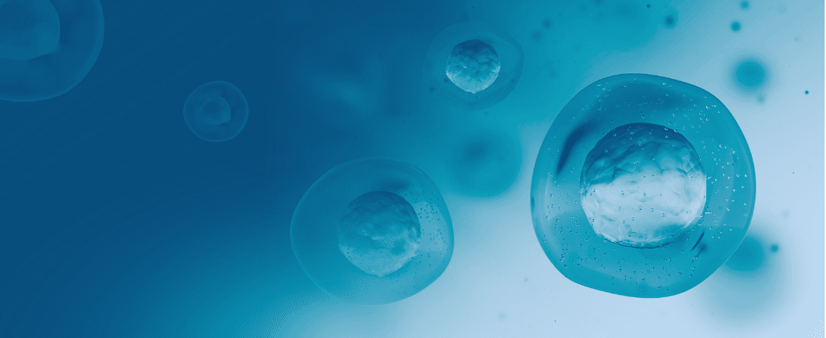 Single Cell Sequencing Solutions - Singleron