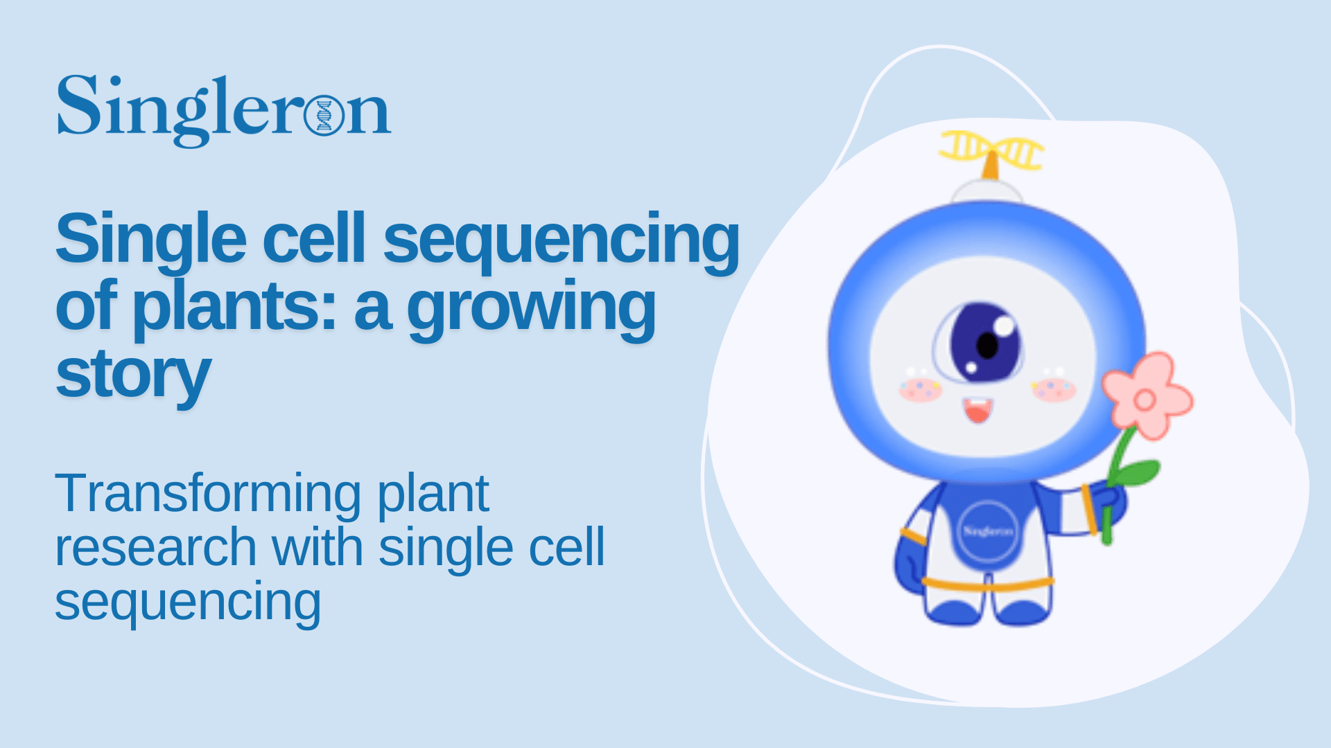 Plant single cell sequencing – getting to the root