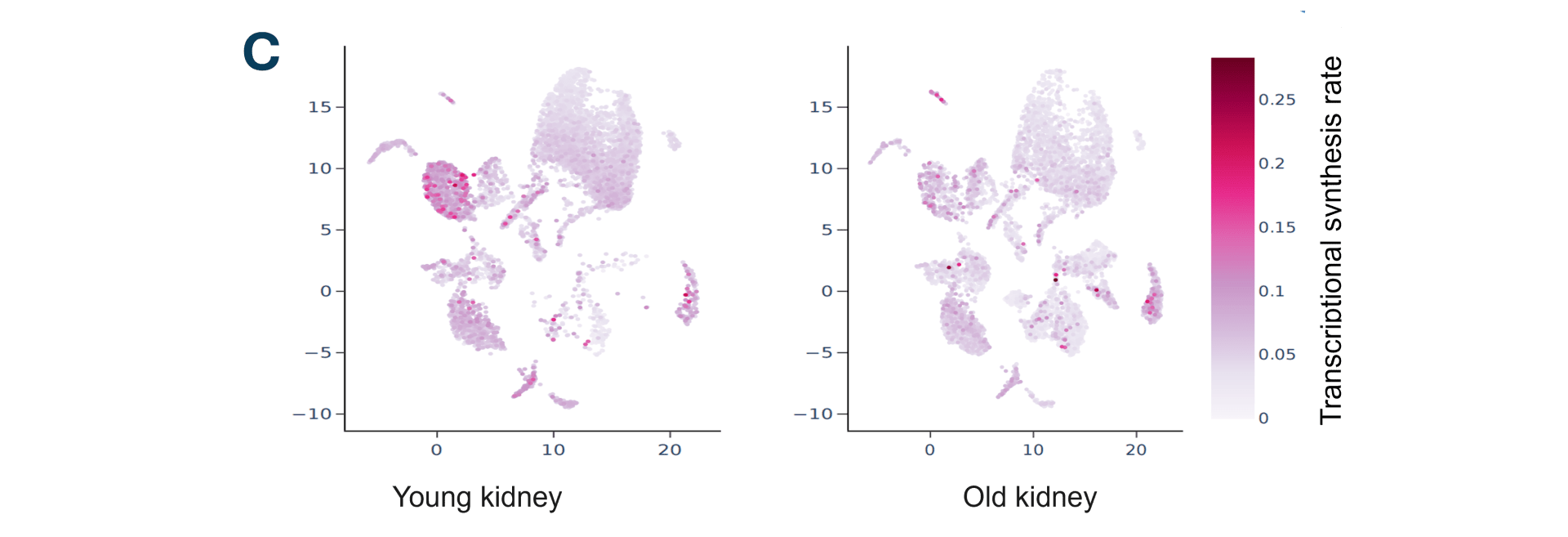 DynaSCOPE® - Time Resolved RNA Library - Singleron