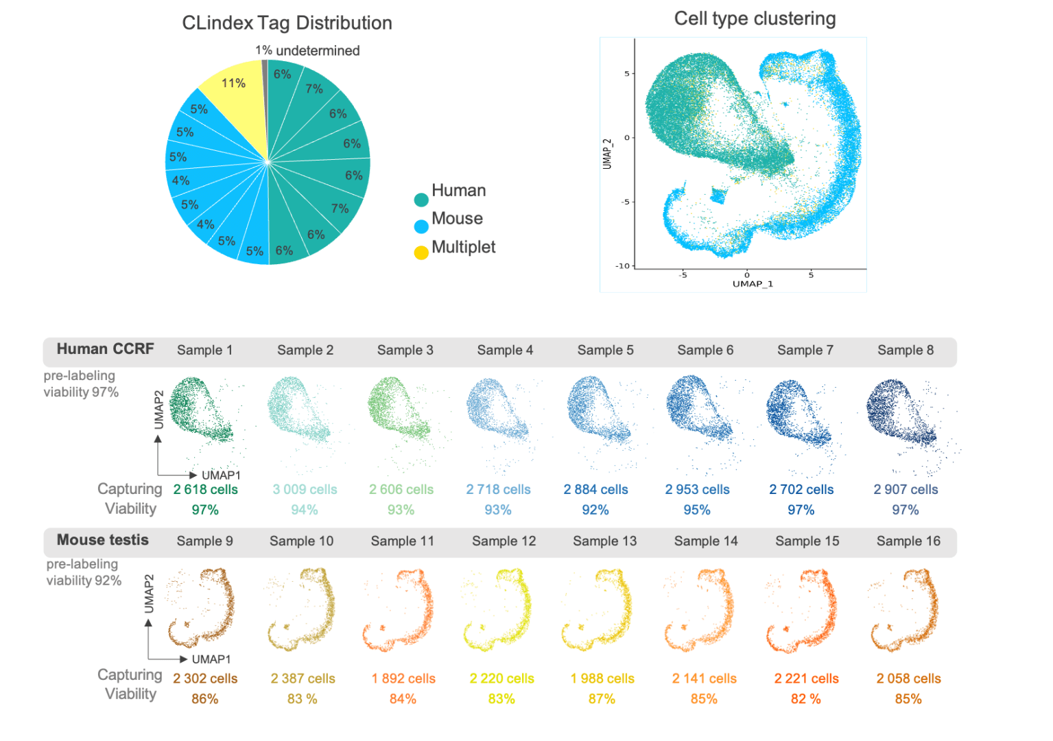 CLindex® - Sample Multiplexing Kit