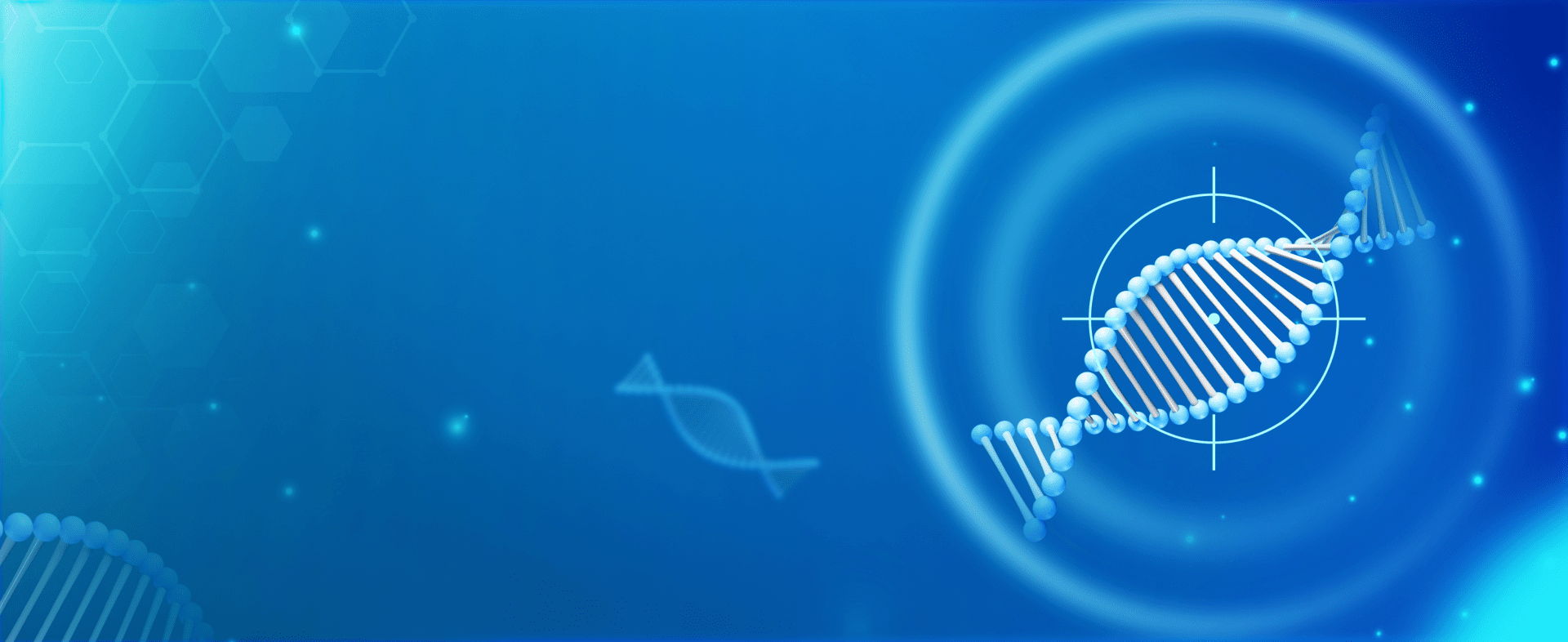 Single Cell Sequencing Solutions - Singleron