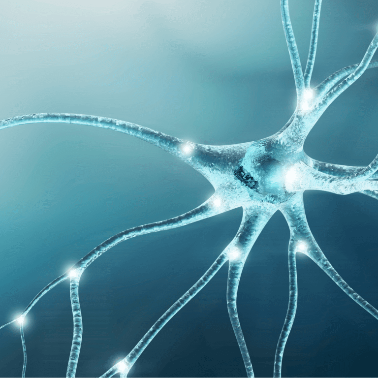 What is Single Cell RNA Sequencing? | Singleron