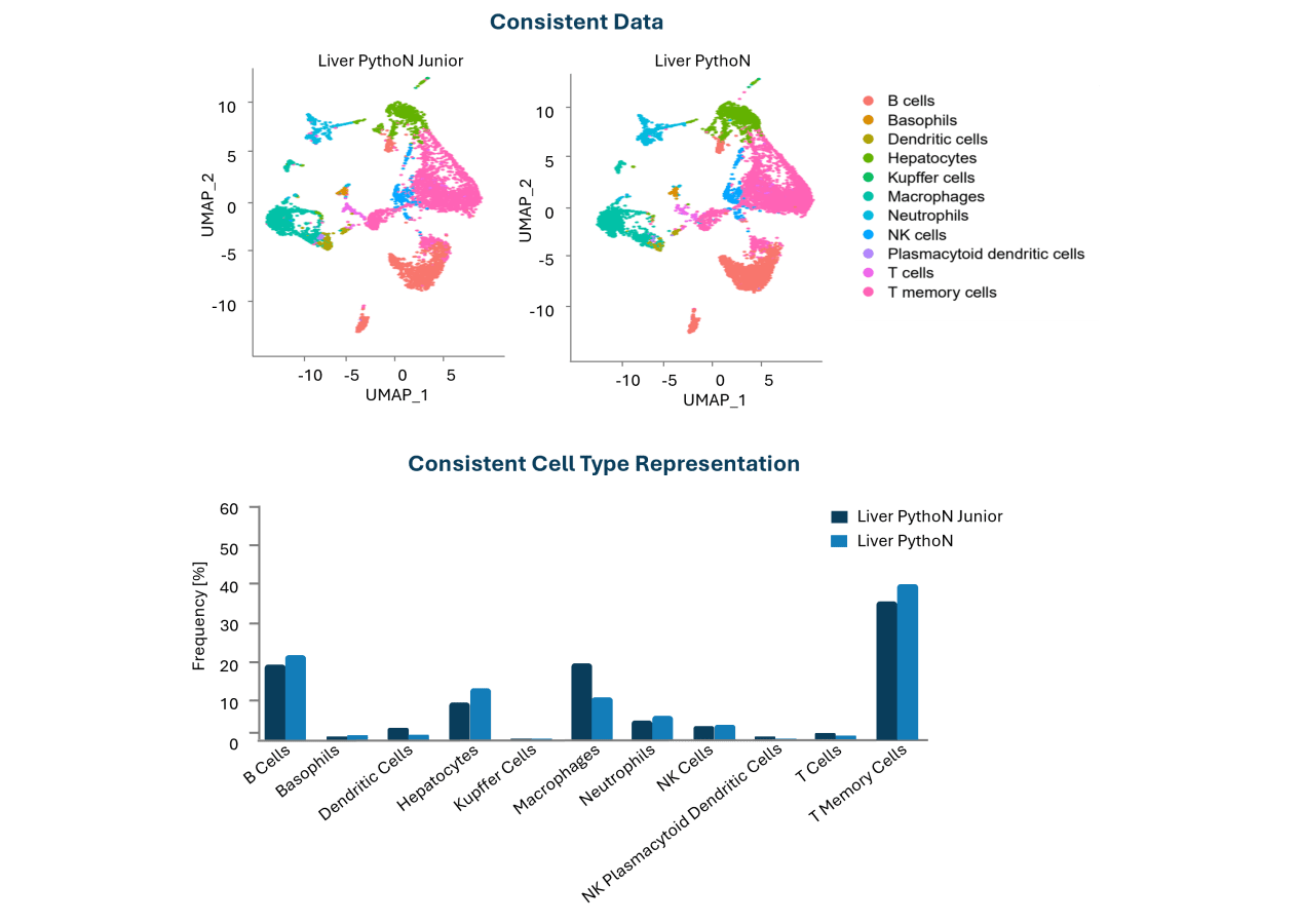 PythoN® Junior - Tissue Dissociation - Singleron