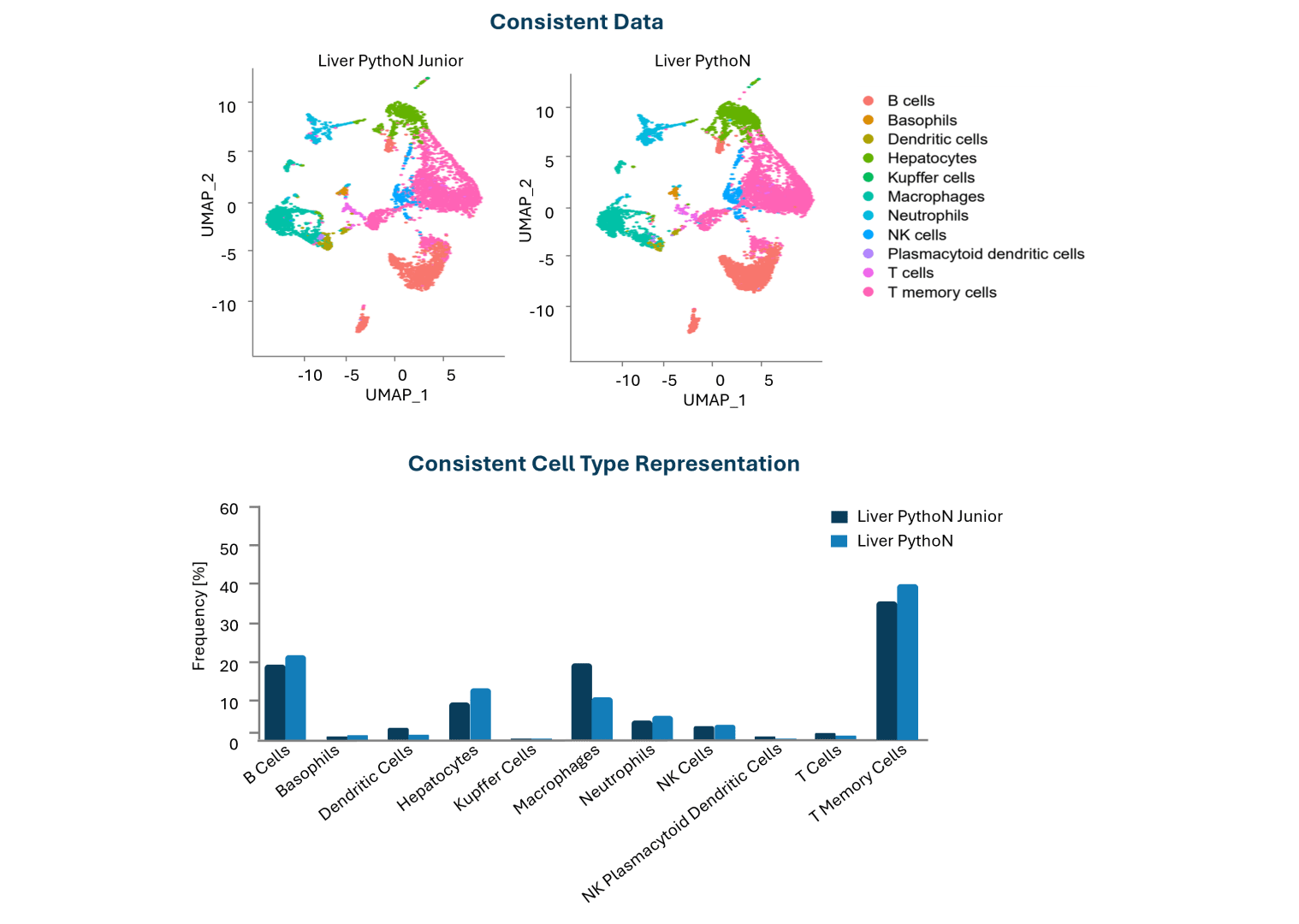 PythoN® Junior - Tissue Dissociation - Singleron
