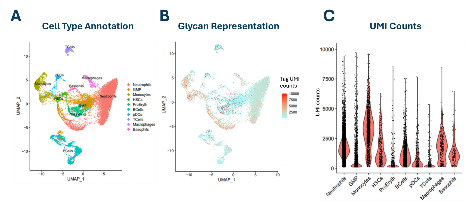 ProMoSCOPE® - Glycosylation Discovery - Singleron