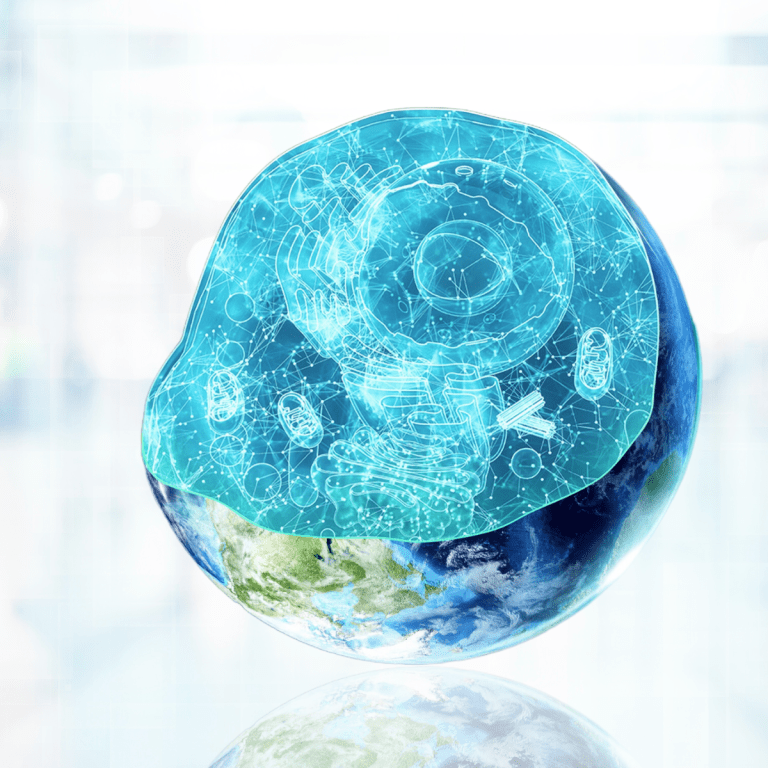 Standard Single Cell | Single Nucleus Service - Singleron