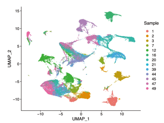 The Significance of Single Cell Sequencing in Neurology