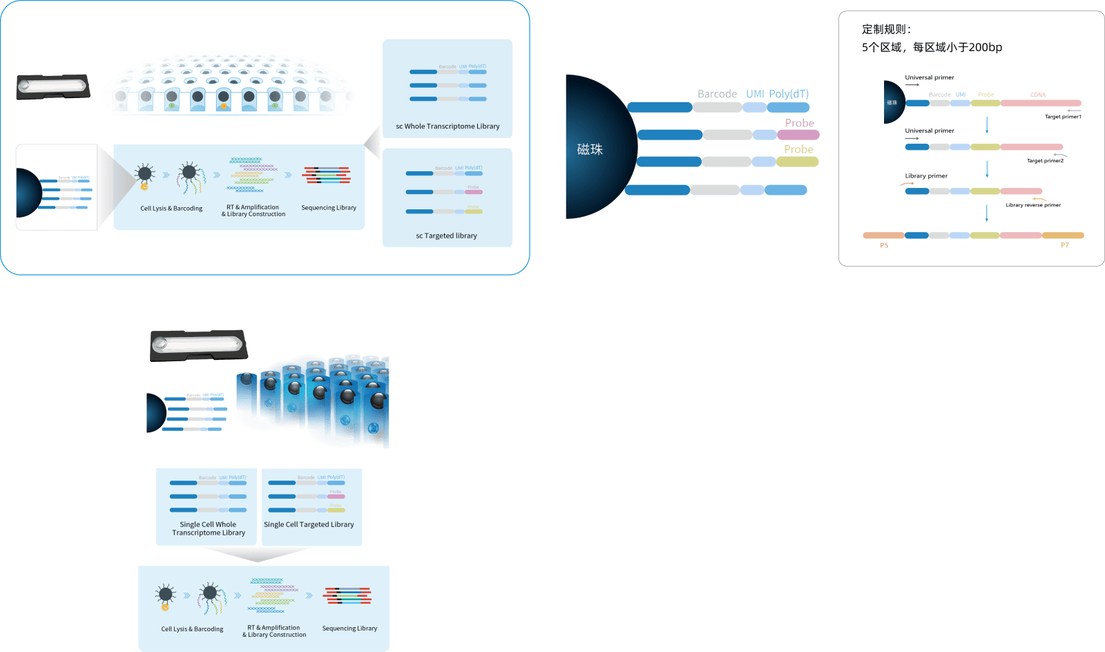 Microfluidic microwell SCOPE-chip - Singleron