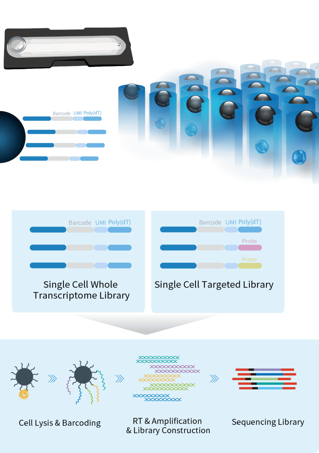 Microfluidic microwell SCOPE-chip - Singleron