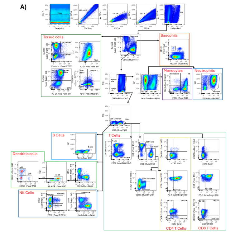 sCelLiVE® Flow - Tissue Preservation and Dissociation - Singleron