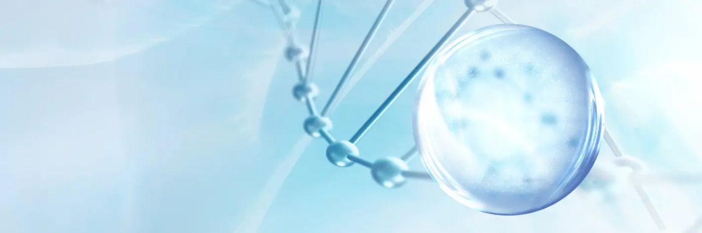 Singleron | End-to-End Single Cell Sequencing Solution