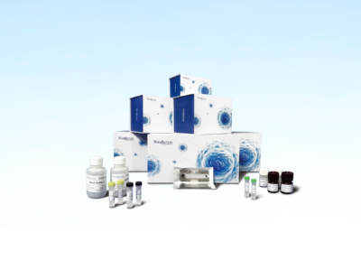 Python i™ Tissue Dissociation - Singleron Biotechnologies