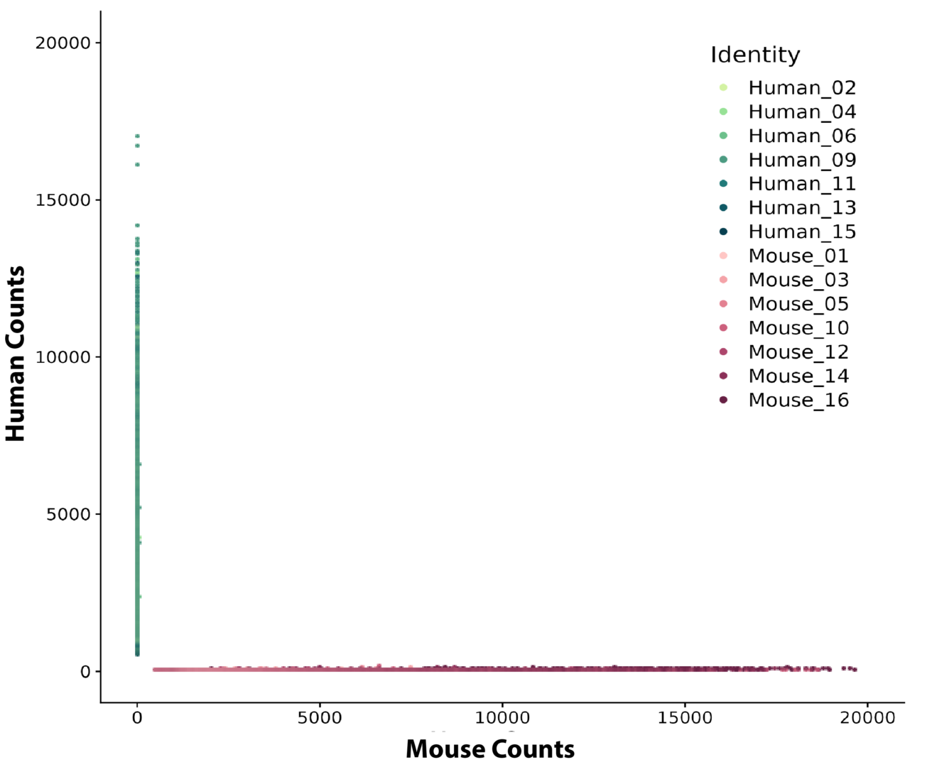 Tensor - High Throughput Single Cell & Library Processing System