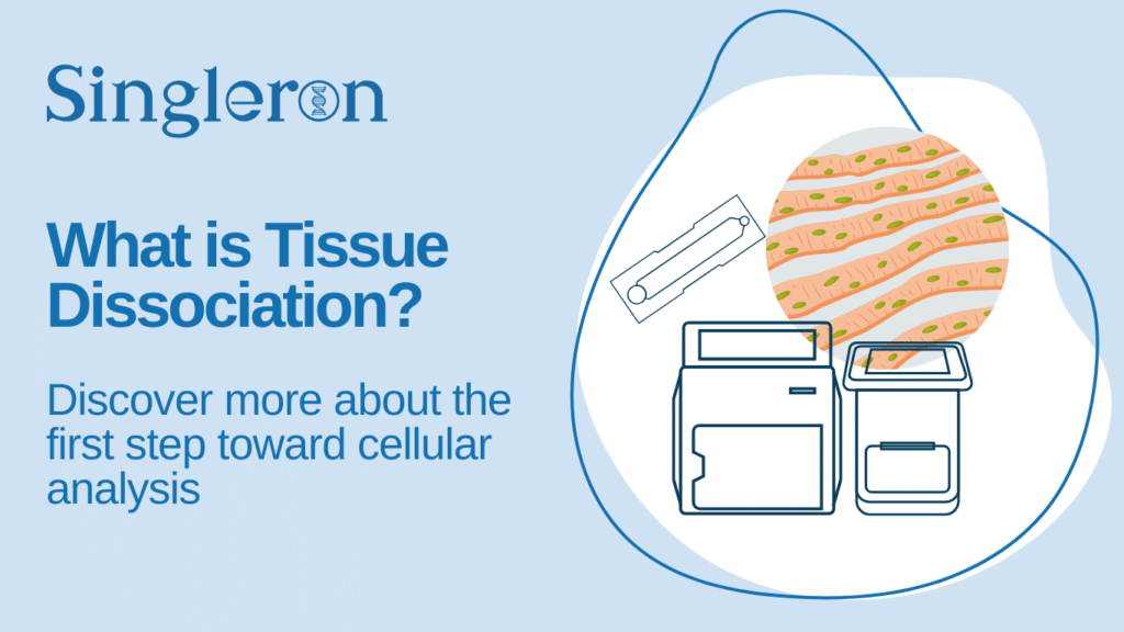 How to Dissociate Tissue | Singleron