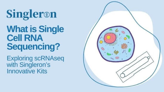 What is Single Cell RNA Sequencing? | Singleron