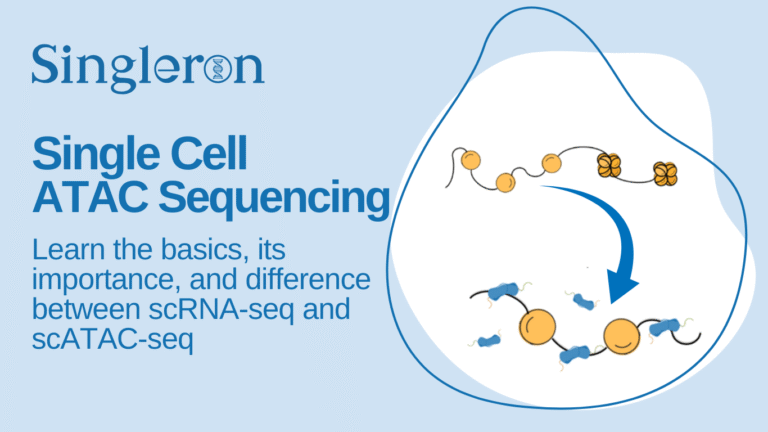 What is Single Cell ATAC Sequencing? | Singleron