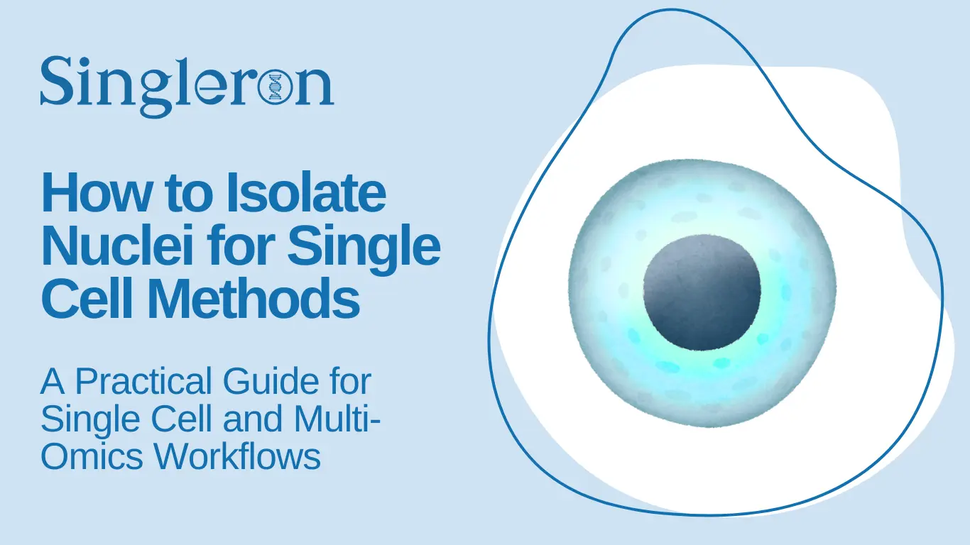 How to Isolate Nuclei for Single Cell Methods | Singleron