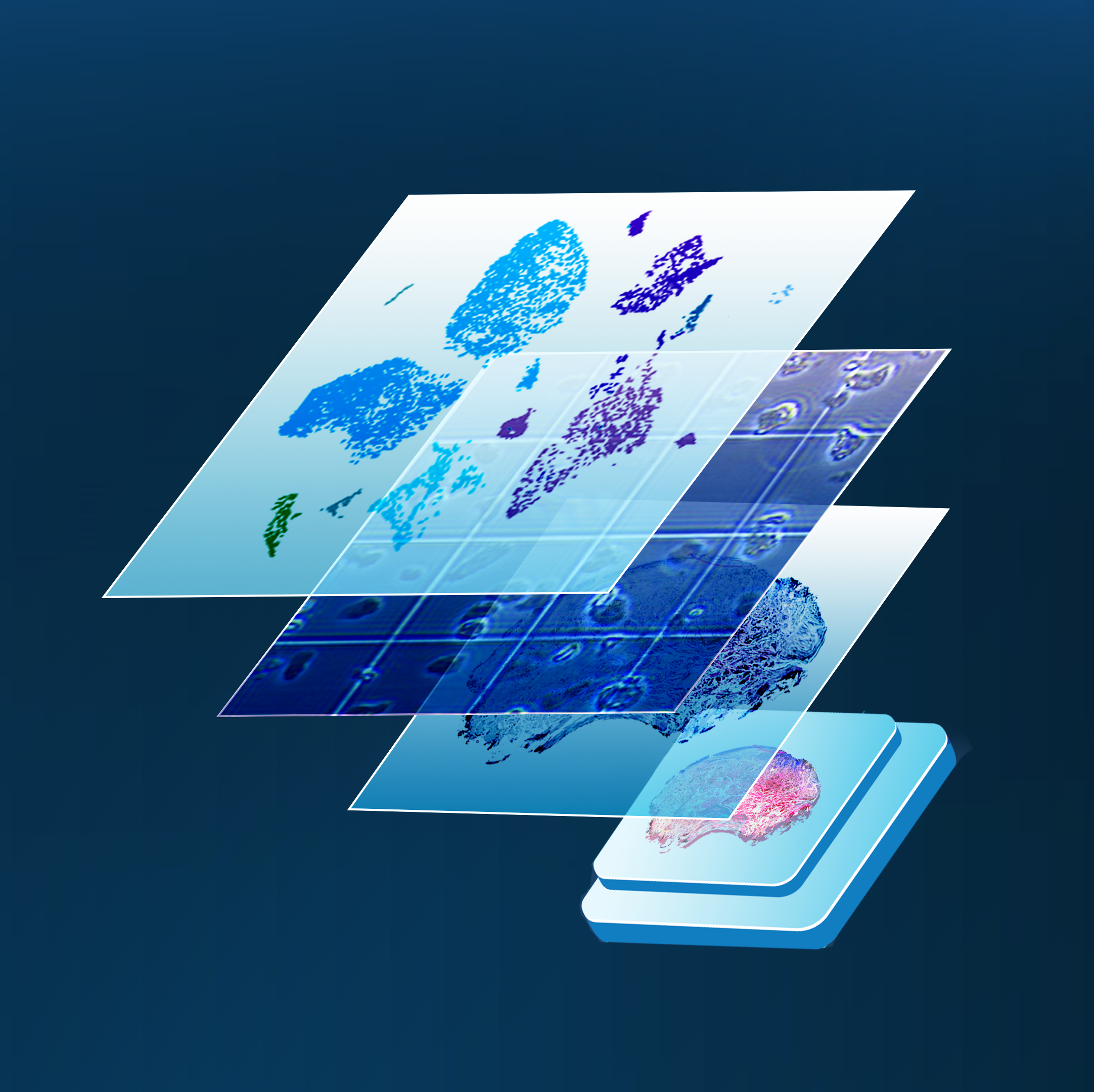 GEXSCOPE® FFPE Single Nucleus Transcriptome Sequencing Kit