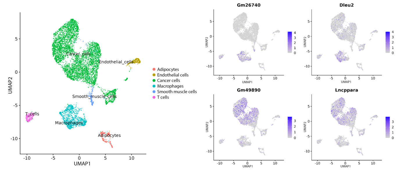 Full Transcriptome Insight from Single Cell Sequencing - Singleron